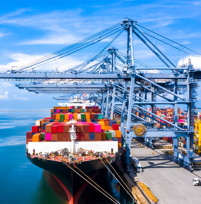 tayem-group - الصفحة الرئيسية